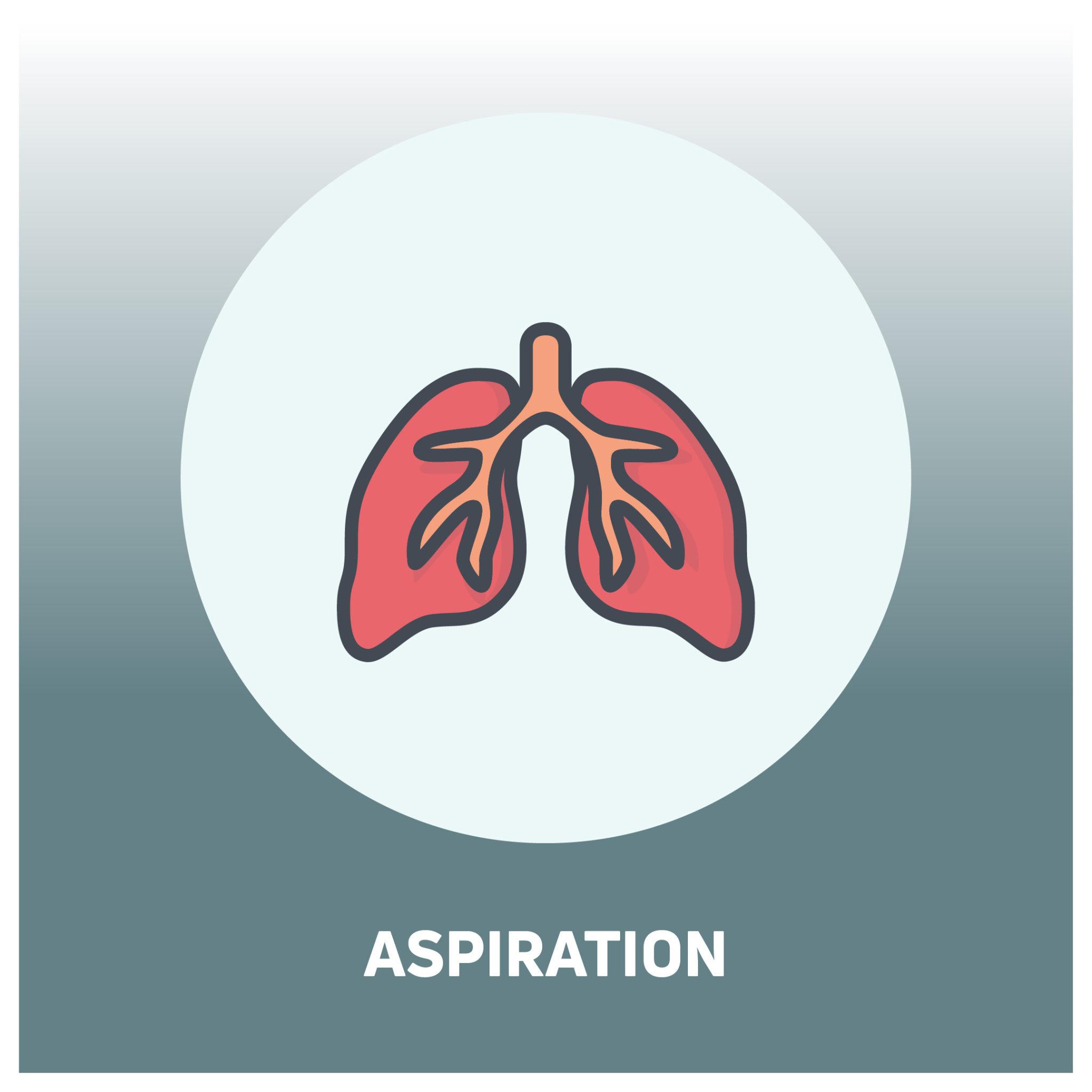 The Fatal Five Plus - IntellectAbility