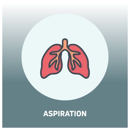 The Fatal Five Plus - IntellectAbility