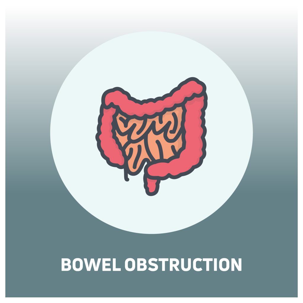 The Fatal Five Plus - IntellectAbility