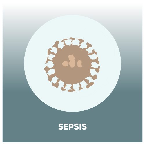 The Fatal Five Plus - IntellectAbility